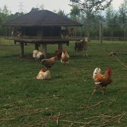 ANGELFIELDS NATURE SANCTUARY - 24 Photos - Tagaytay - Sta. Rosa Road ...
