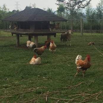 ANGELFIELDS NATURE SANCTUARY - Updated December 2025 - 24 Photos ...