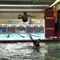 HOUSTON SWIM CLUB - SHARPSTOWN - Updated April 2025 - 52 Photos & 36 ...
