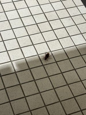 GEORGIA TECH CAMPUS RECREATION CENTER - Updated October 2025 - 36 ...