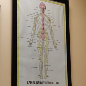 PRIESTER CHIROPRACTIC - Updated February 2025 - 19 Reviews - Charlotte ...
