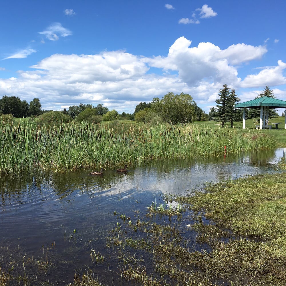 MCKENZIE MEADOWS GOLF CLUB - Updated December 2025 - 17215 McKenzie ...