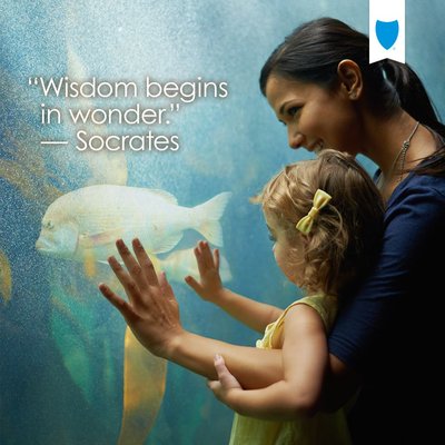 BLUE SHIELD OF CALIFORNIA - Updated December 2025 - 31 Photos & 17 ...