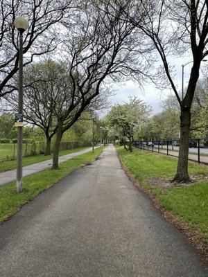 WARREN PARK - Updated May 2025 - 116 Photos & 29 Reviews - 6601 N ...