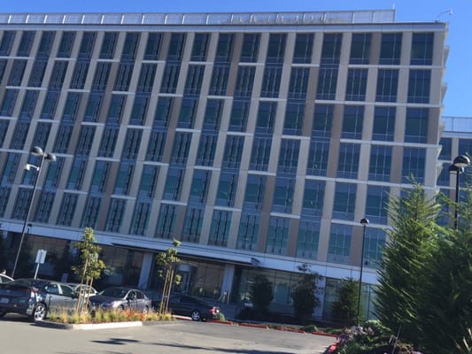 GENENTECH BUILDING 35 CAFETERIA - Updated October 2025 - 16 Photos ...