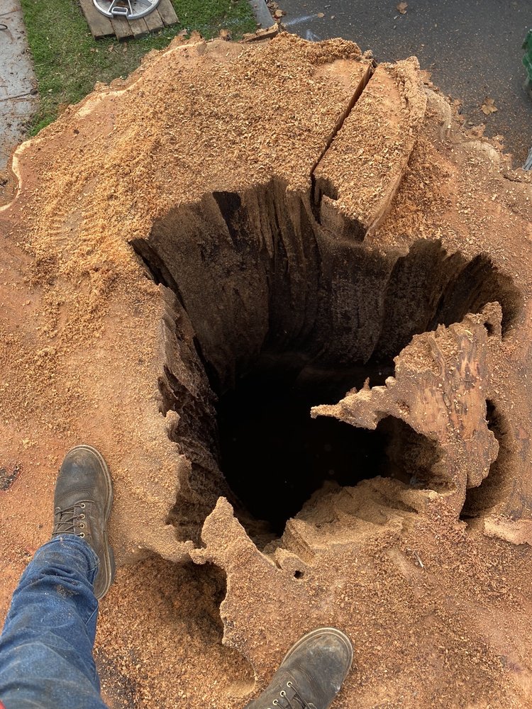 GRAHAM TREE SERVICE - Updated December 2025 - 23 Photos & 55 Reviews ...