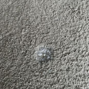 REDPOINT GAINESVILLE - Updated July 2024 - 43 Photos & 27 Reviews ...