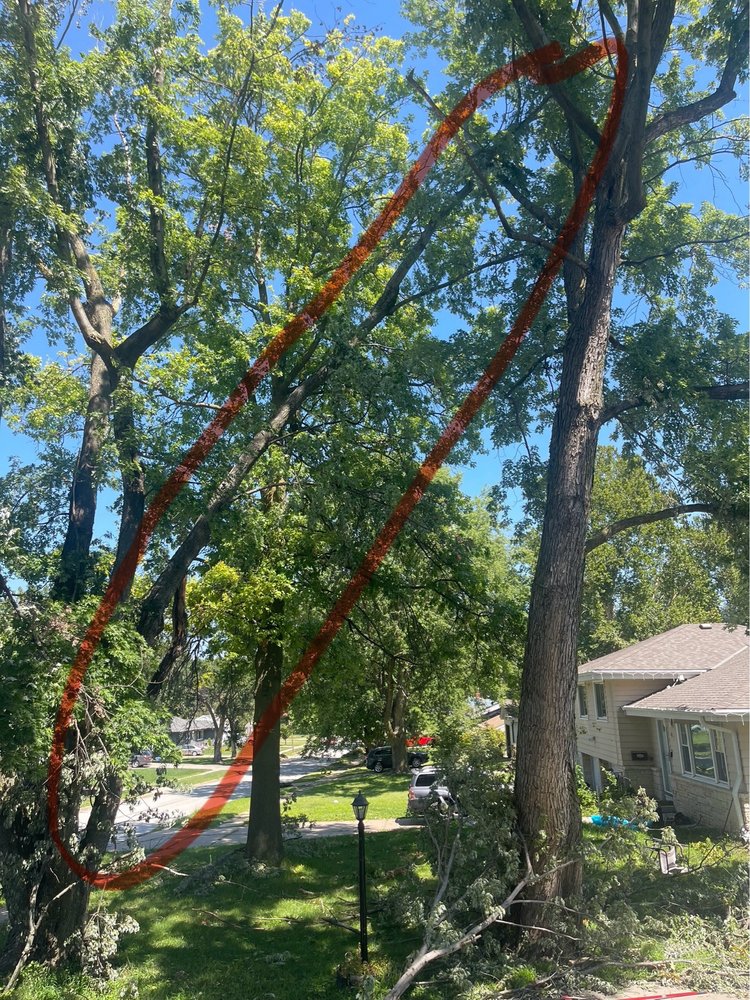 PEÑA’S TREE SERVICES - Updated September 2025 - Omaha, Nebraska - Tree ...
