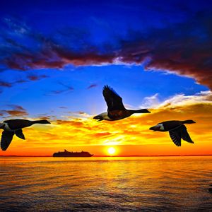 THOMAS POINT PARK - Updated December 2025 - 30 Photos & 11 Reviews ...