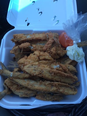 WILLIAMS STREET FISH MARKET - Updated January 2026 - 22 Reviews - 302 ...