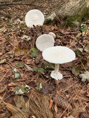 NEUSE RIVER GREENWAY TRAIL - Updated July 2025 - 74 Photos & 26 Reviews ...