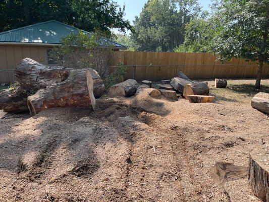 ELITE TREE CARE - Updated October 2025 - 35 Photos - Kansas City ...