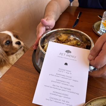 THE PONY ROOM - Updated July 2024 - 435 Photos & 303 Reviews - 5921 ...