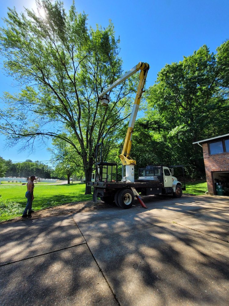 MR TREE SERVICE - Updated October 2025 - 44 Photos - 9901 Jones Creek ...