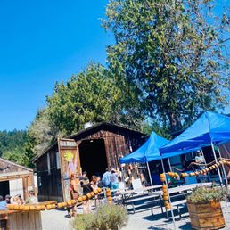 BUCK BAY SHELLFISH FARM - TEMP. CLOSED - Updated December 2025 - 368 ...