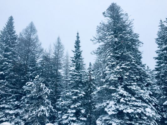 EMIGRANT SPRINGS STATE PARK - Updated December 2025 - 26 Photos & 15 ...