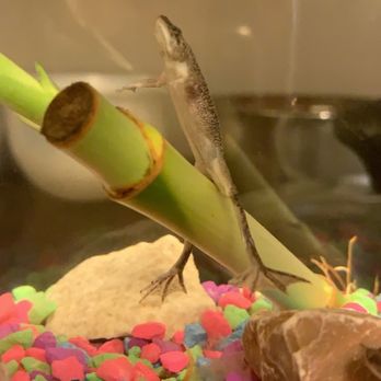 PLAYTHINGS ETC - Updated December 2025 - 39 Photos & 26 Reviews - 2483 ...