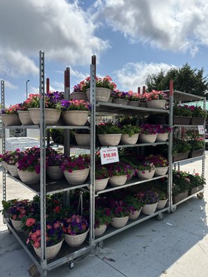 PAT’S FARMS GARDEN CENTER - 13 Photos - 1126 Merrick Ave, Merrick, New ...