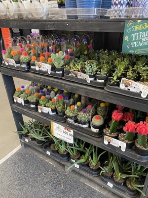 THE HOME DEPOT - Updated November 2024 - 60 Reviews - 5342 W Baltimore ...