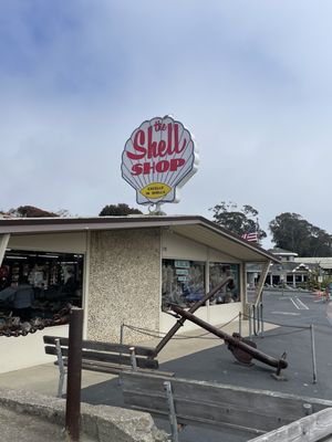 THE SHELL SHOP - 163 Photos & 117 Reviews - 590 Embarcadero, Morro Bay ...