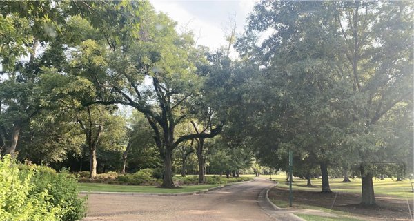 FREEDOM RIDGE PARK - Updated August 2025 - 19 Photos - 235 W School St ...