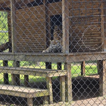 CATTY SHACK RANCH WILDLIFE SANCTUARY - Updated April 2026 - 752 Photos ...