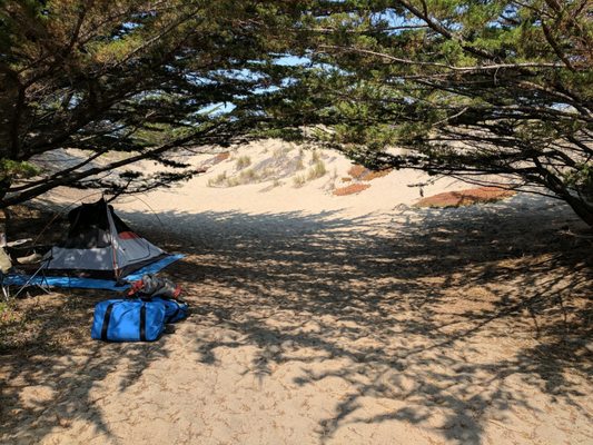 BODEGA DUNES CAMPGROUNDS - 133 Photos & 87 Reviews - Campgrounds ...