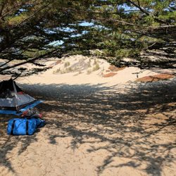 Bodega Dunes Campgrounds - 111 Photos & 84 Reviews - Campgrounds ...