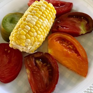 VERRILL FARM - 164 Photos & 131 Reviews - 11 Wheeler Rd, Concord, MA ...