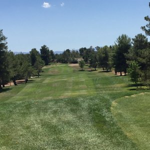 GREEN TREE GOLF COURSE - 18 Photos & 11 Reviews - Golf - 14144 Green ...