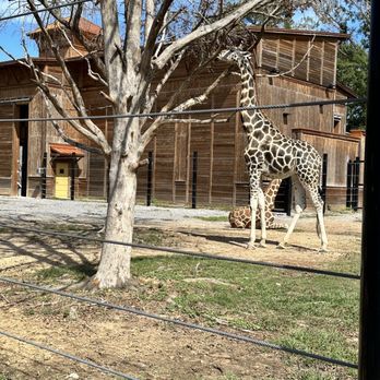 HATTIESBURG ZOO - Updated October 2025 - 58 Photos - 107 S 17th Ave ...
