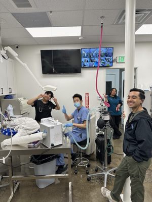 LEE ANIMAL HOSPITAL - Updated January 2026 - 108 Photos & 135 Reviews ...