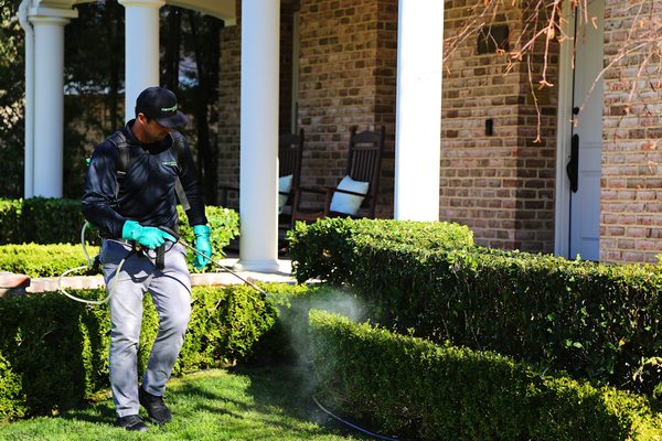 HOMESHIELD PEST CONTROL - Updated October 2025 - 169 Photos & 297 ...