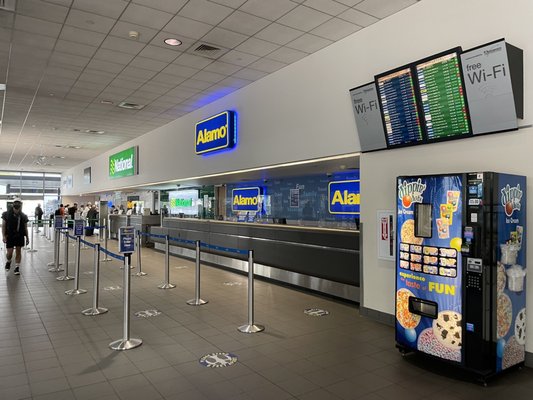 ALAMO RENT A CAR - 40 Photos & 231 Reviews - 6327 Aviation Dr ...