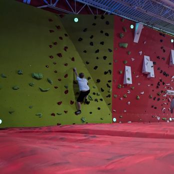 ADRENALINE MONKEY - Updated January 2026 - 11 Photos - 4950 Centre ...