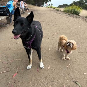 FORT FUNSTON - 2550 Photos & 1151 Reviews - 206 Fort Funston Rd, San ...