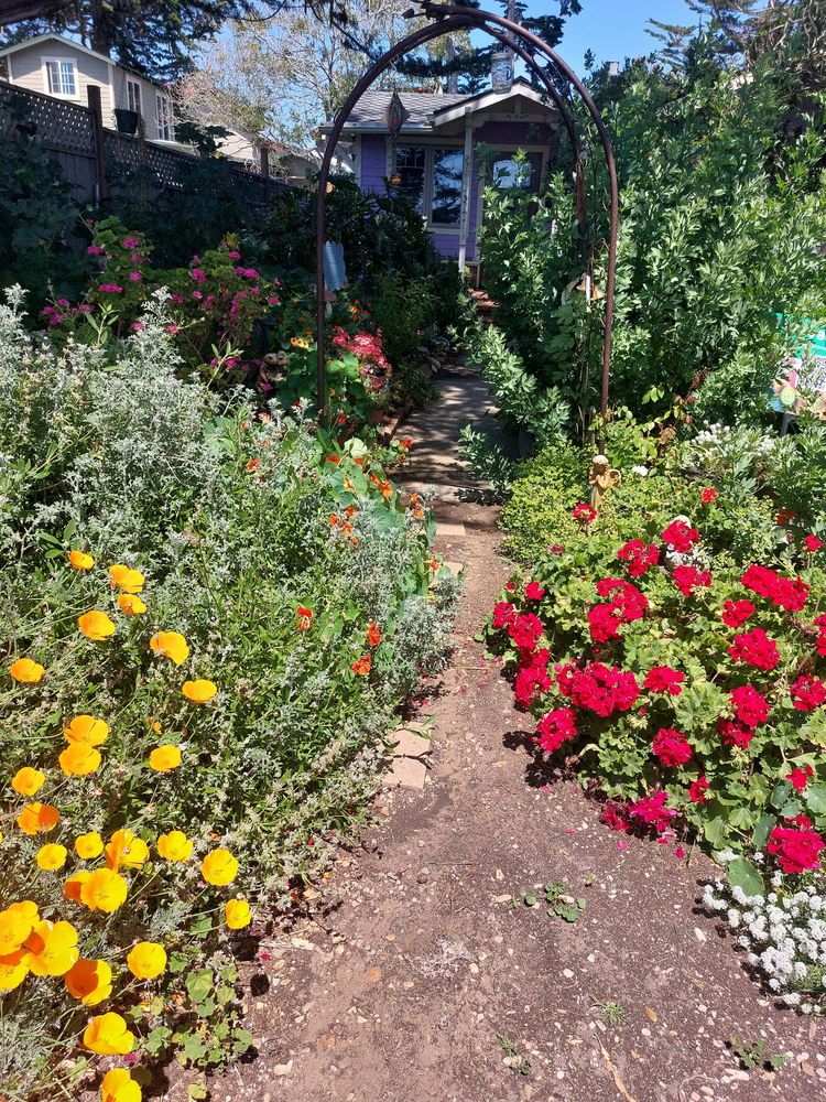 BLUE DIAMOND TREE AND LANDSCAPE - Updated October 2025 - 18 Photos ...