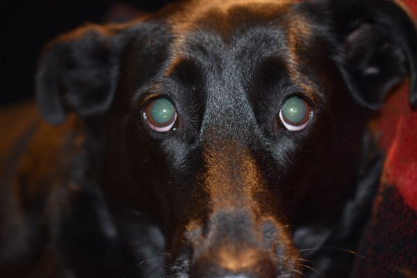 NATIONAL CAMERA EXCHANGE - Updated December 2025 - 17 Photos & 84 ...