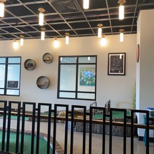 OLD TOWN PUTT - 36 Photos & 21 Reviews - 244 N College Ave, Fort ...