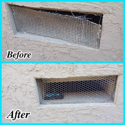 MILLS RODENT CONTROL - 20 Photos & 15 Reviews - San Francisco, CA - Yelp