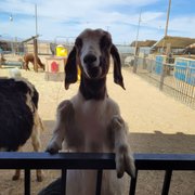 BARBER FAMILY FARM - 253 Photos & 24 Reviews - 45620 30th St E ...