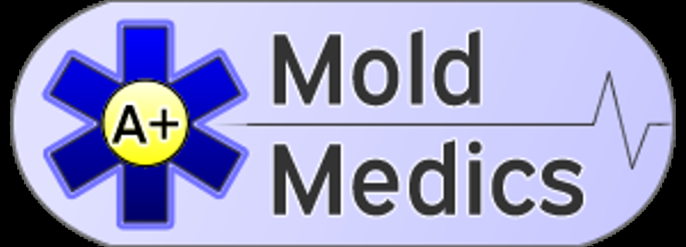 A+ MOLD MEDICS - Updated November 2025 - Henderson, Kentucky - Damage ...