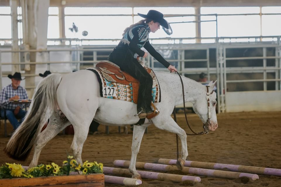 STAR STABLES INDIANA - Updated December 2024 - 7871 S Franklin Rd ...