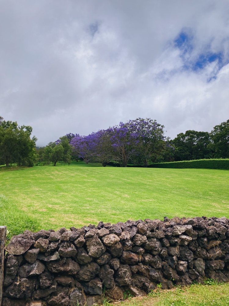 THOMPSON ROAD - Updated May 2024 - 75 Photos - Thompson Rd, Kula ...