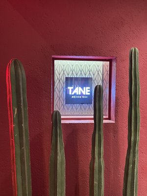 TANE - Updated December 2025 - 37 Photos - Av. Pdte. Masaryk 430 ...