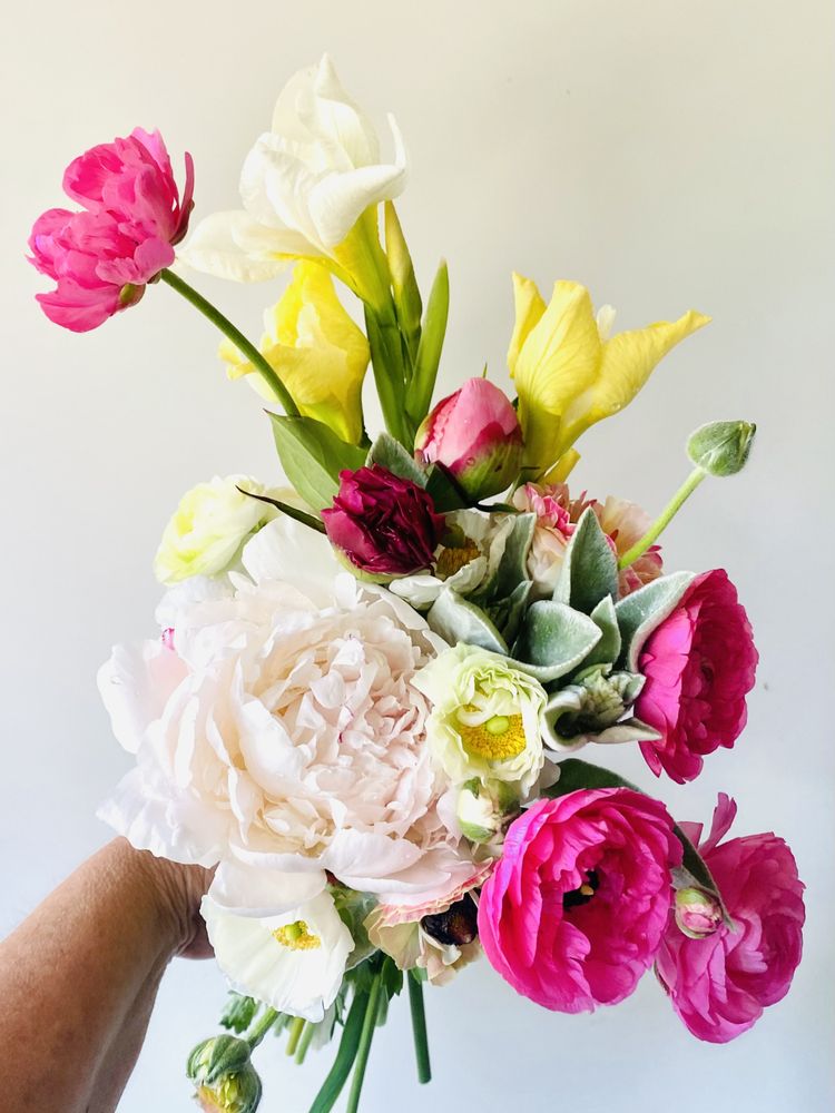 SOUTHSHORE BOTANICALS - Updated July 2025 - Request Information - 16 ...