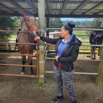 C & M STABLES - Updated December 2025 - 67 Photos & 74 Reviews - 90241 ...