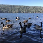 PHILBROOK LAKE CAMPGROUND - Philbrook Rd, Magalia, California - RV ...