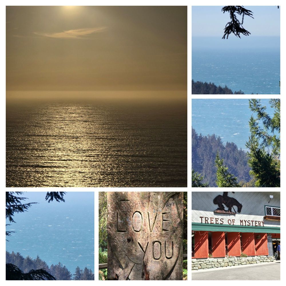 JAVA HUT - Updated October 2025 - 69 Photos & 183 Reviews - 437 US Hwy ...