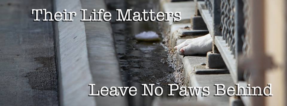 LEAVE NO PAWS BEHIND, INC - Updated January 2026 - Los Angeles ...